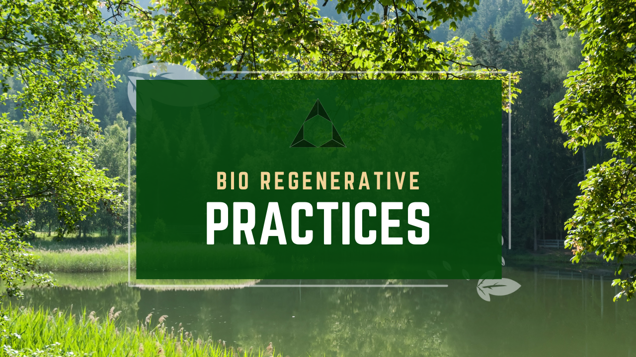 Bio Regenerative Practices - Tetra