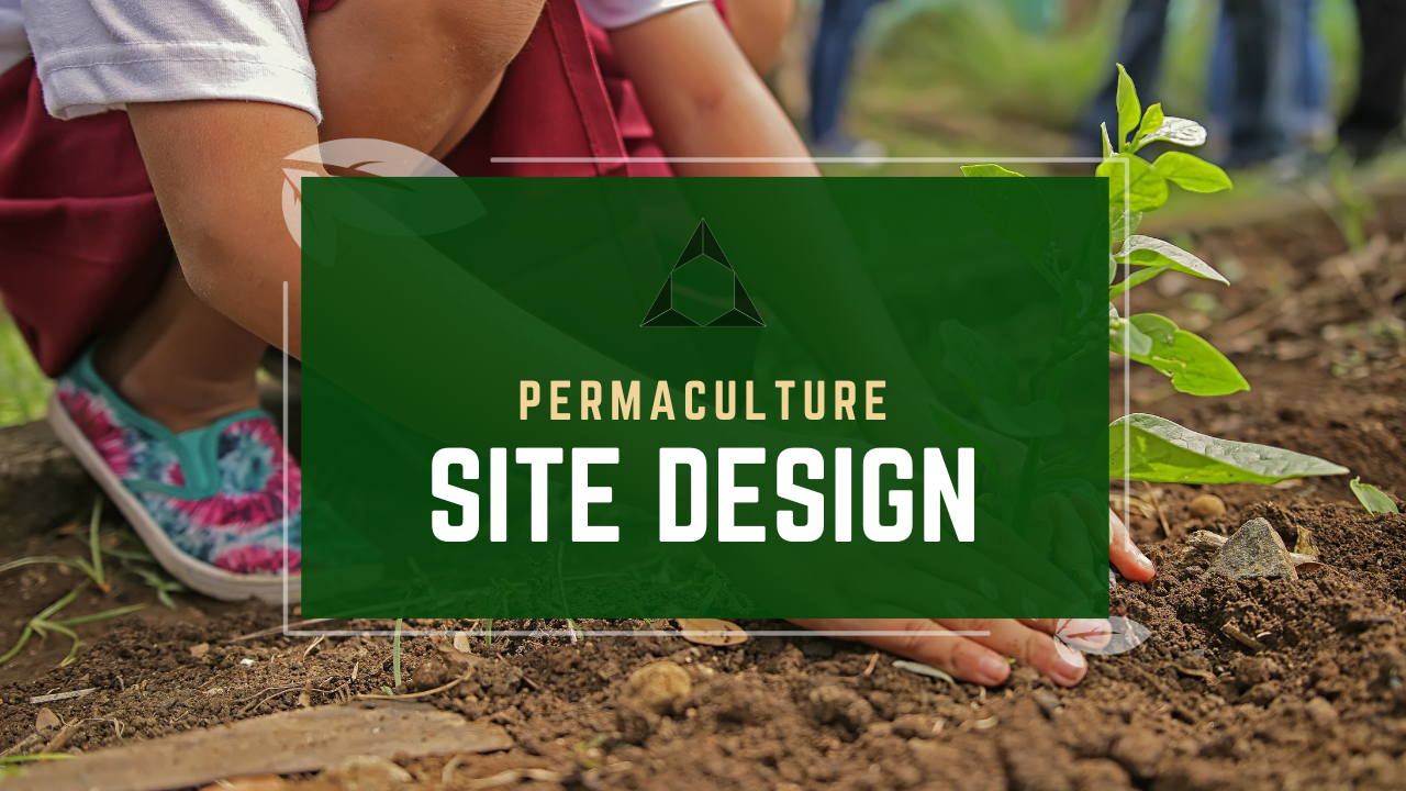 Permaculture Site Design - Tetra